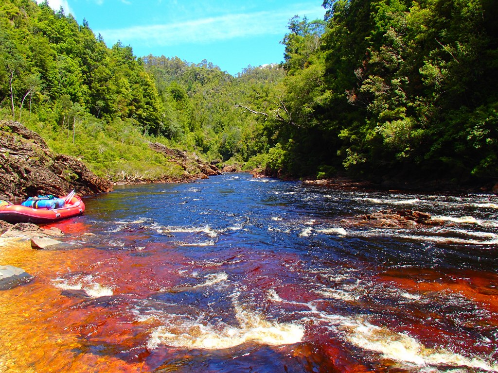 Summer Rafting Trip Along the Franklin River - Water by Nature Tasmania ...