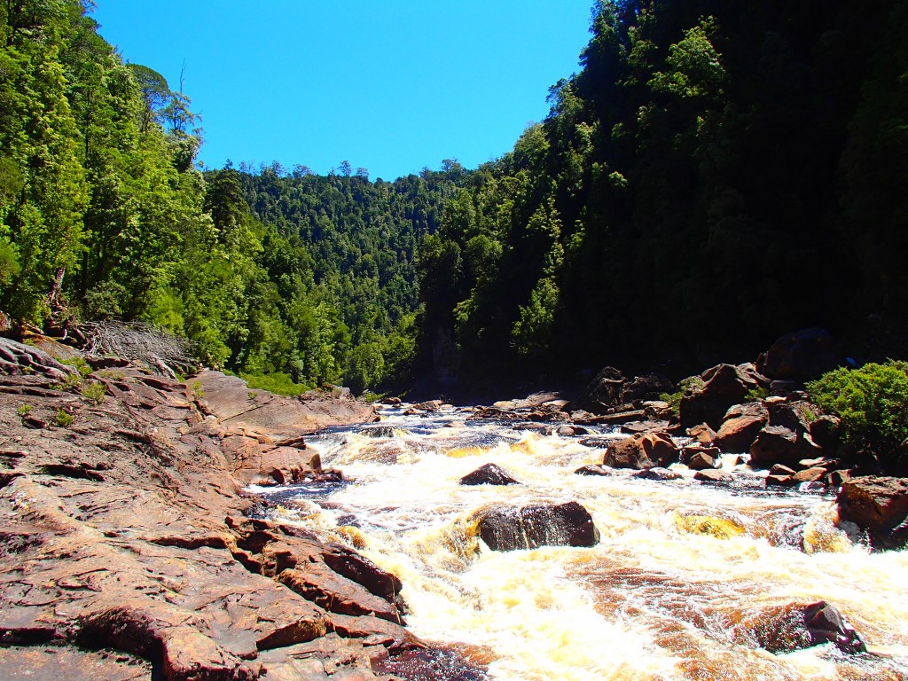 Summer Rafting Trip Along the Franklin River - Water by Nature Tasmania ...