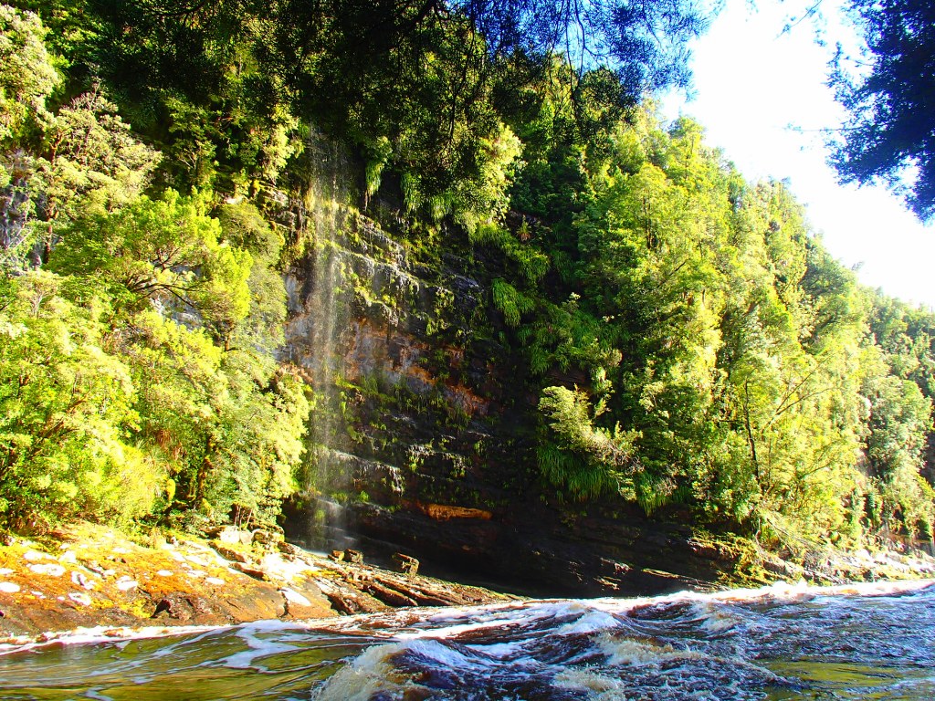 Summer Rafting Trip Along the Franklin River - Water by Nature Tasmania ...