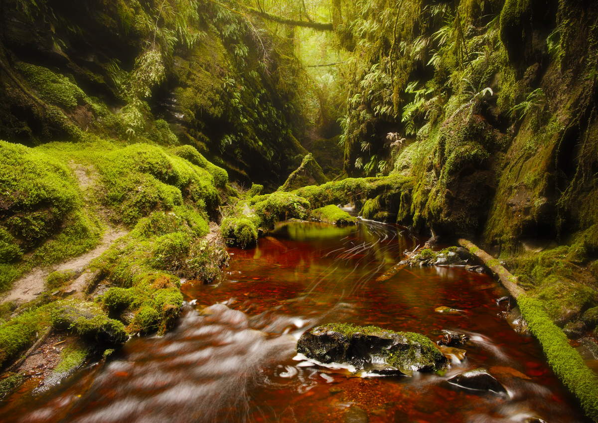 'Go with the flow along the Franklin River' by G. Lloyd - Water by ...