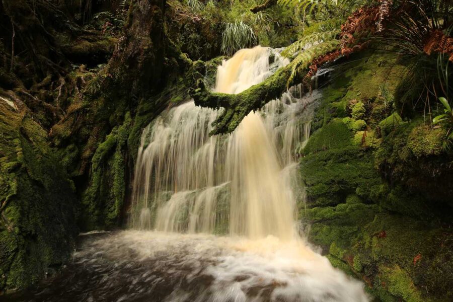 Home - Water by Nature Tasmania, Franklin River Rafting
