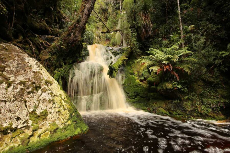 Gallery - Water by Nature Tasmania, Franklin River Rafting