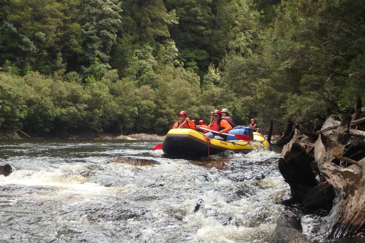 Photos of a Franklin River Rafting Trip in December - Water by Nature ...